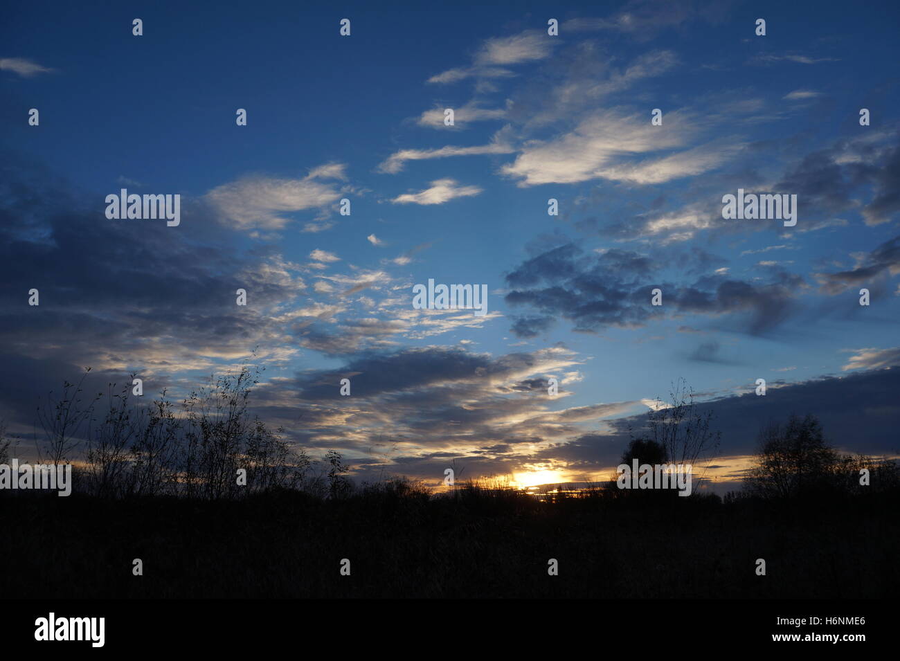 Landscape, sunny dawn in a field sun rays Stock Photo - Alamy