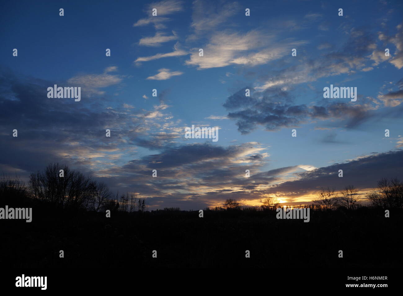 Landscape, sunny dawn in a field sun rays Stock Photo - Alamy