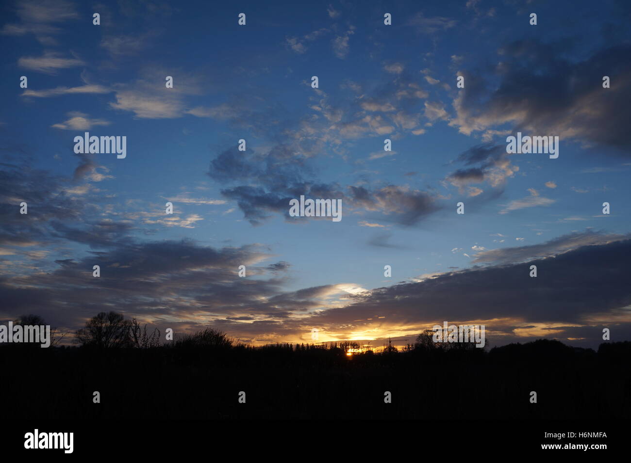 Landscape, sunny dawn in a field sun rays Stock Photo - Alamy