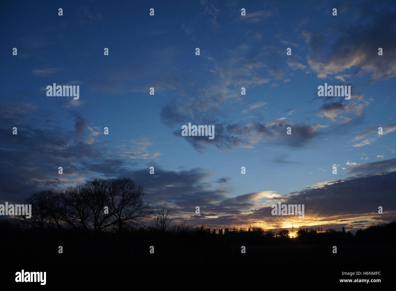 Landscape, sunny dawn in a field sun rays Stock Photo - Alamy
