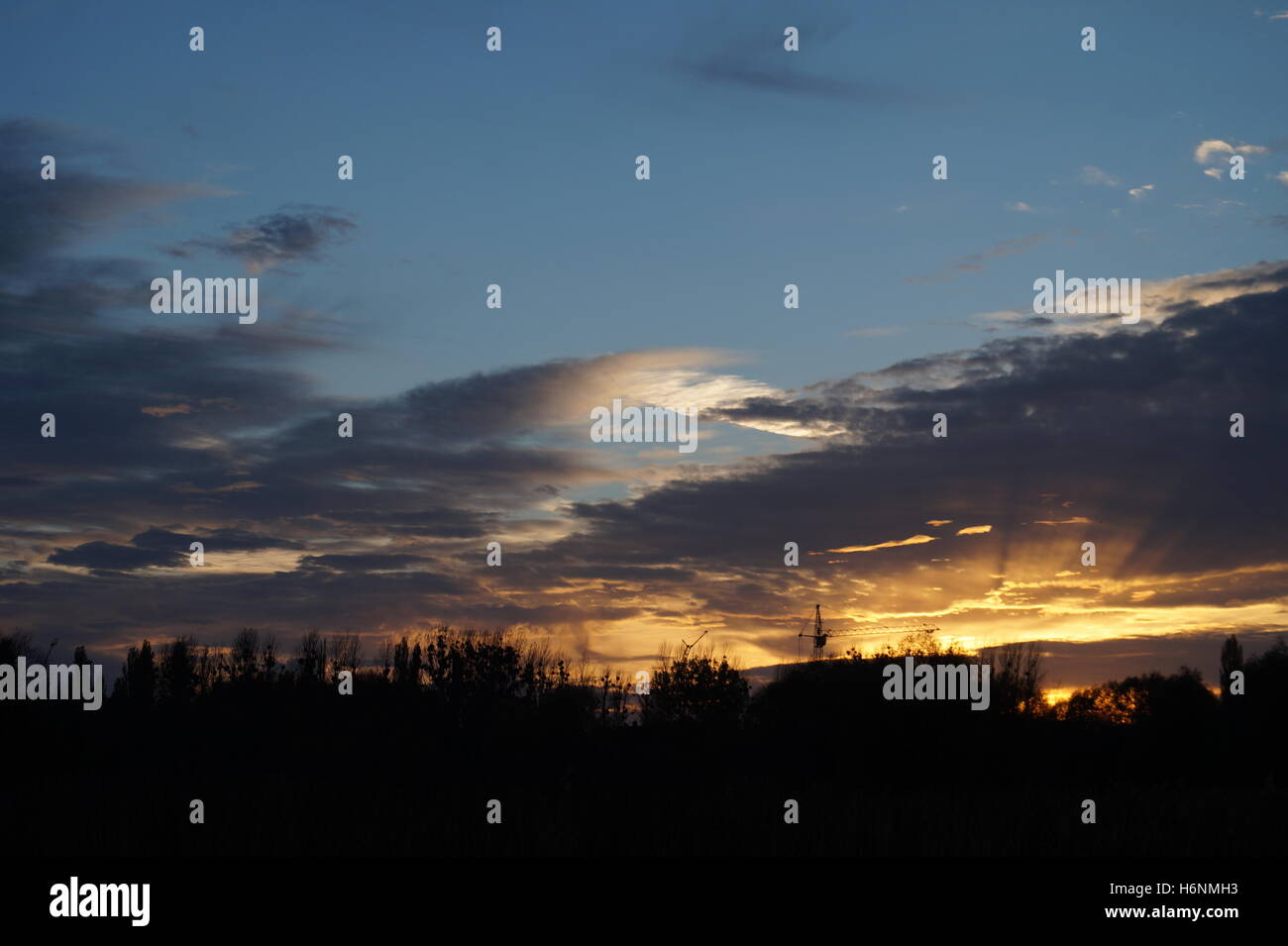 Landscape, sunny dawn in a field sun rays Stock Photo - Alamy