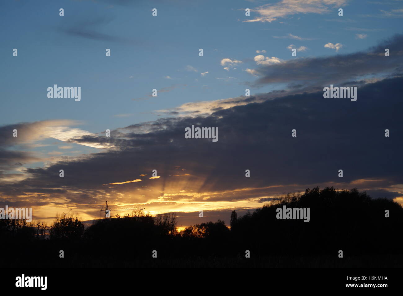 Landscape, sunny dawn in a field sun rays Stock Photo - Alamy