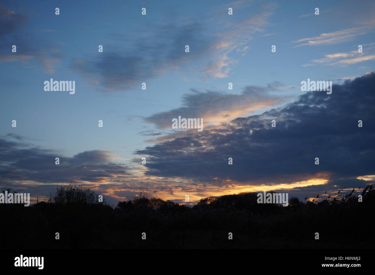 Landscape, sunny dawn in a field sun rays Stock Photo - Alamy