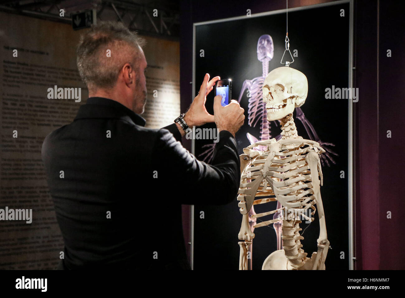 ‘Real Bodies’ a Discovery of the Human Body Exhibition in Milan ...