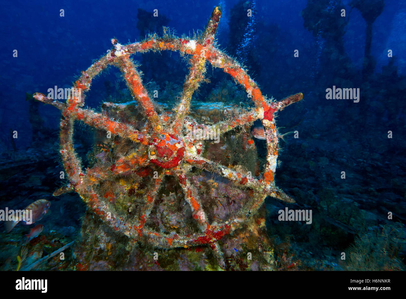 Wreck boat underwater hi-res stock photography and images - Alamy