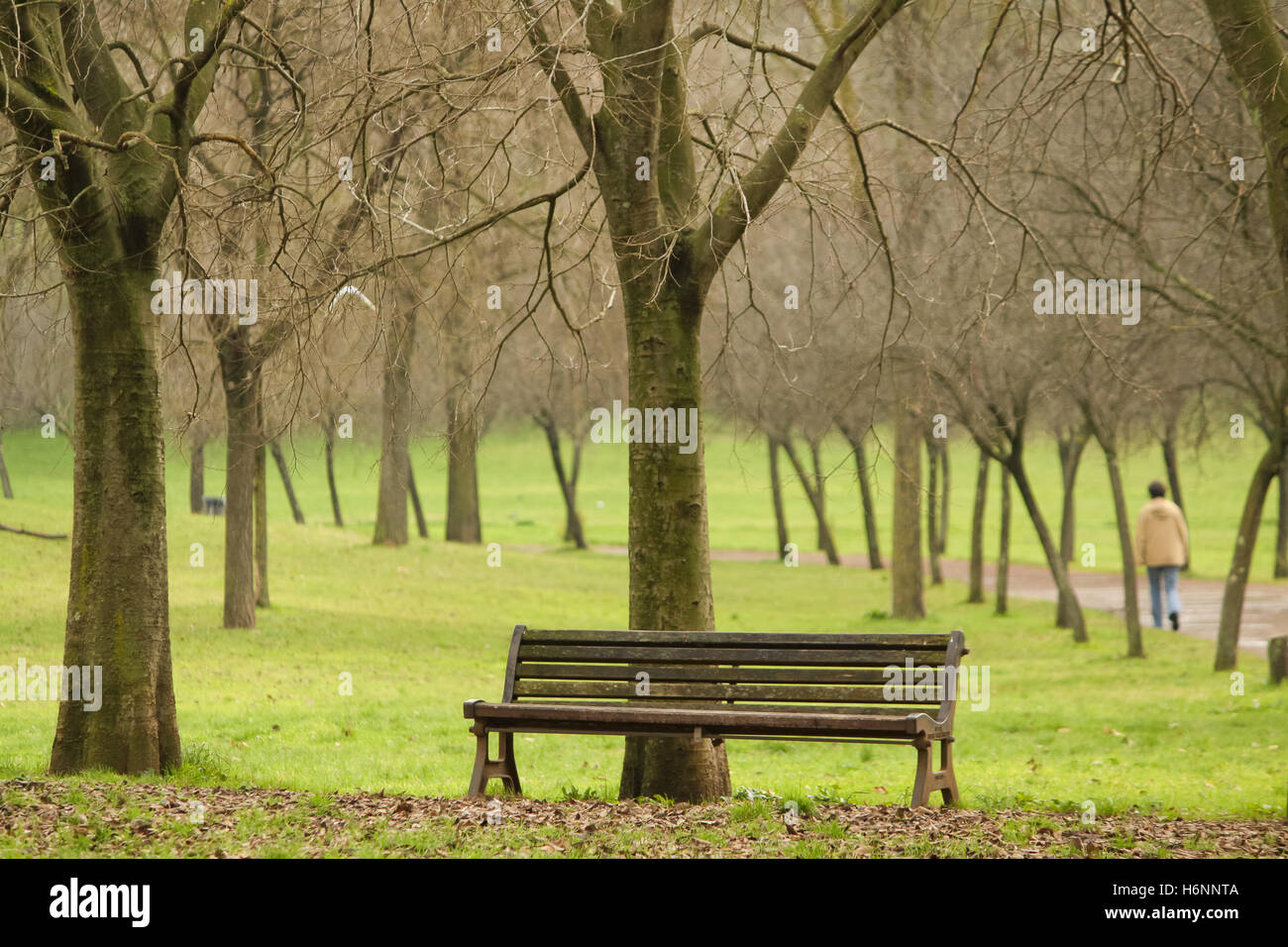 Empty bench in the park Stock Photo - Alamy