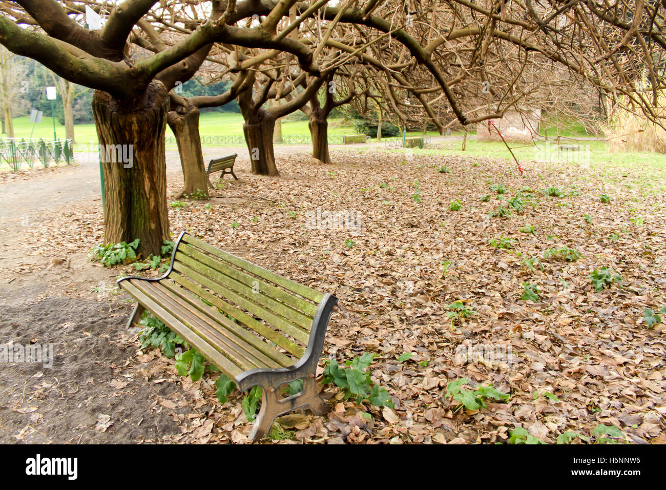 Empty bench in the park (side view Stock Photo - Alamy