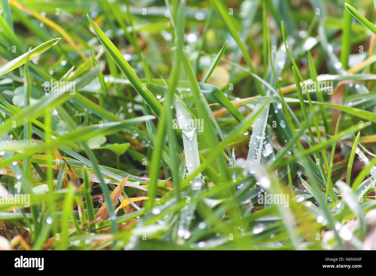 Drew drop hi-res stock photography and images - Alamy