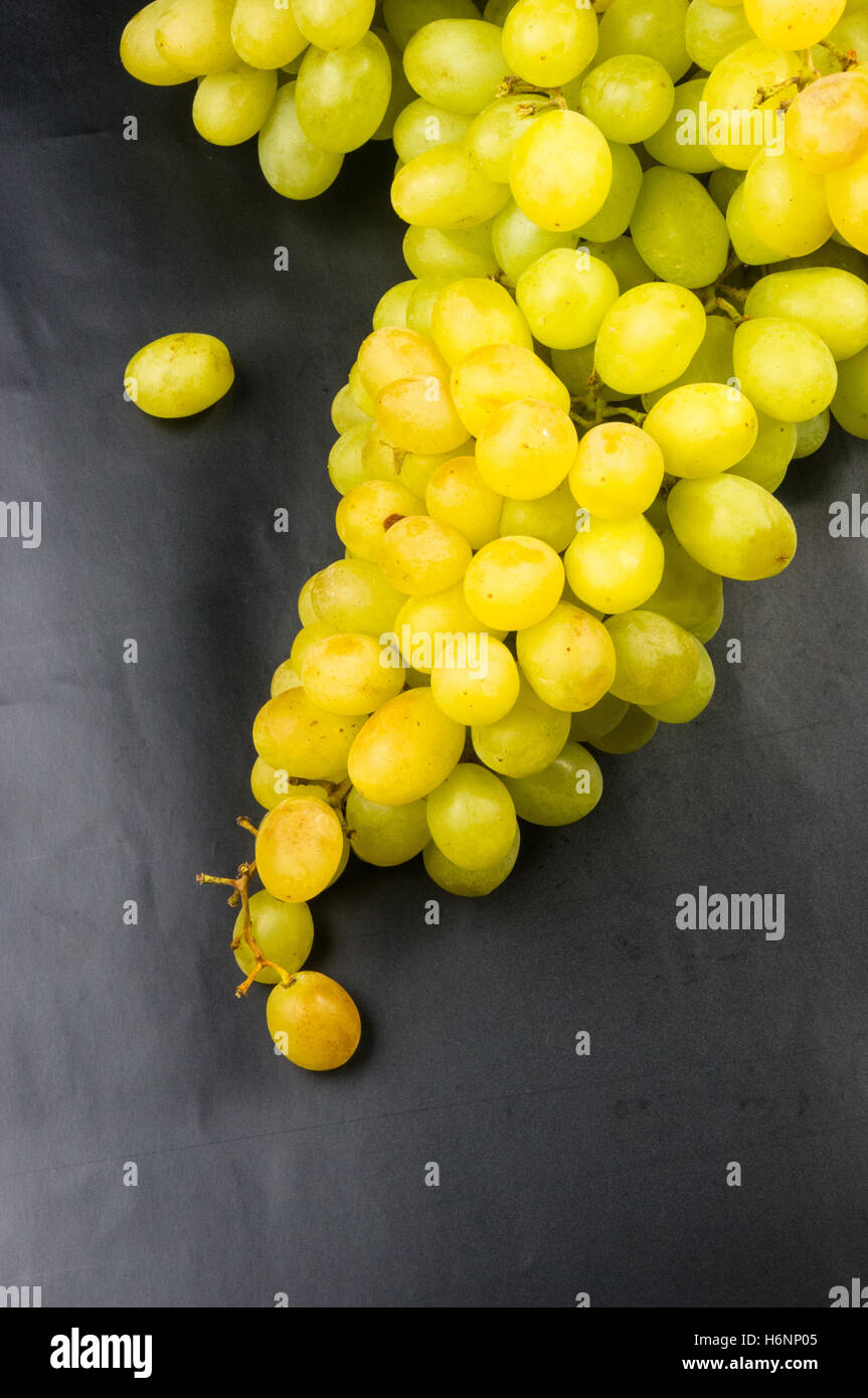 Large grapes cluster amber color on black background Stock Photo - Alamy