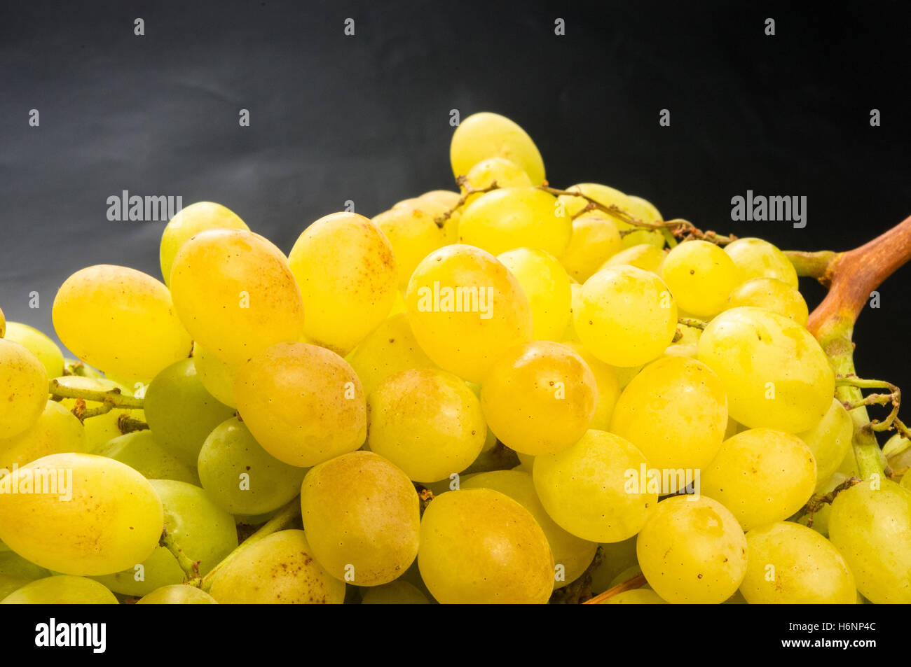 Large grapes cluster amber color on black background Stock Photo - Alamy