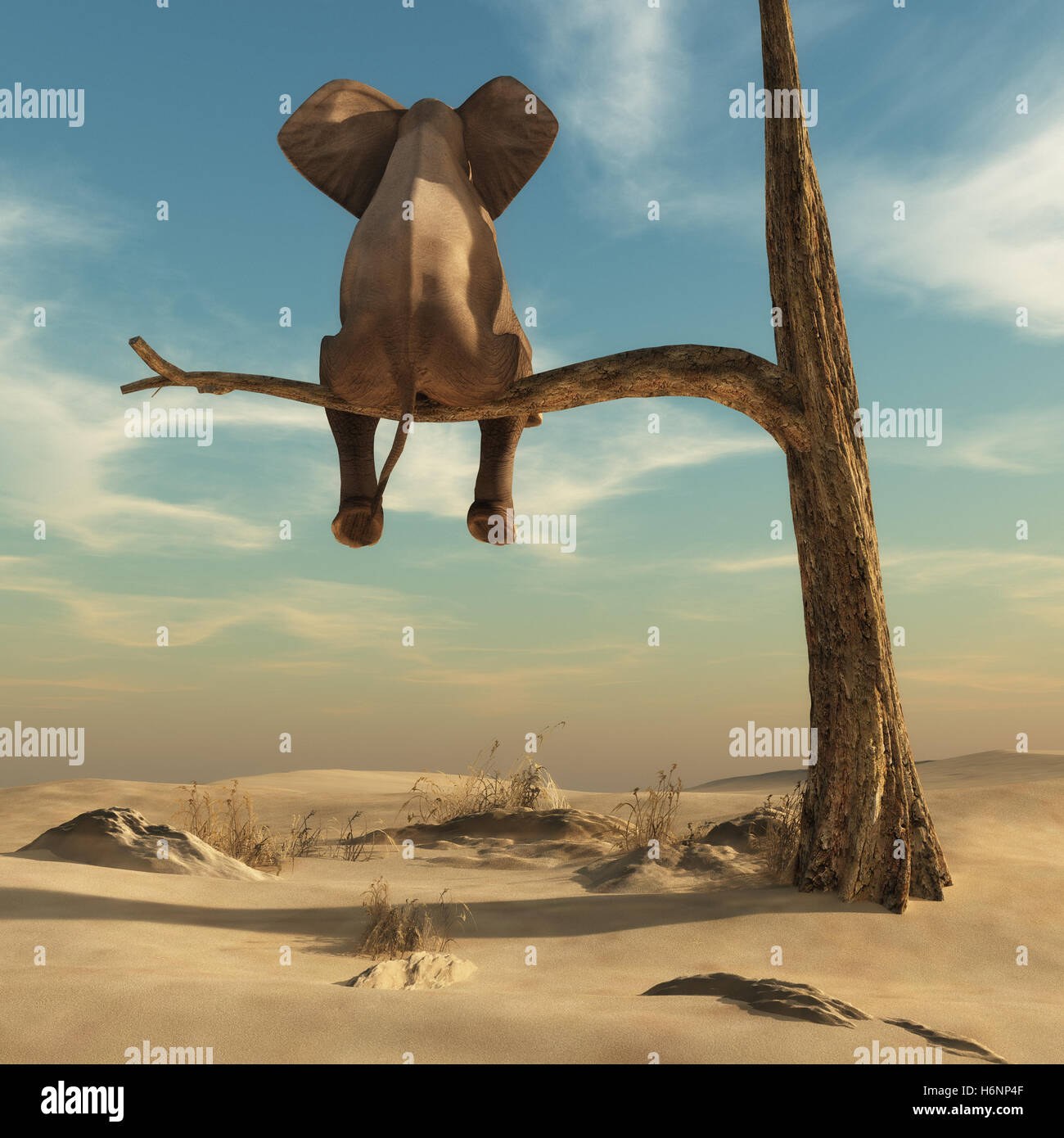 Elephant and tree hi-res stock photography and images - Alamy