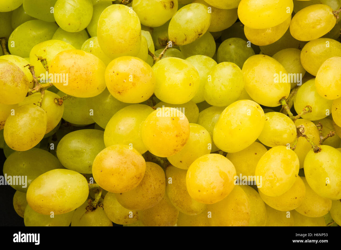 Large grapes cluster amber color on black background Stock Photo - Alamy