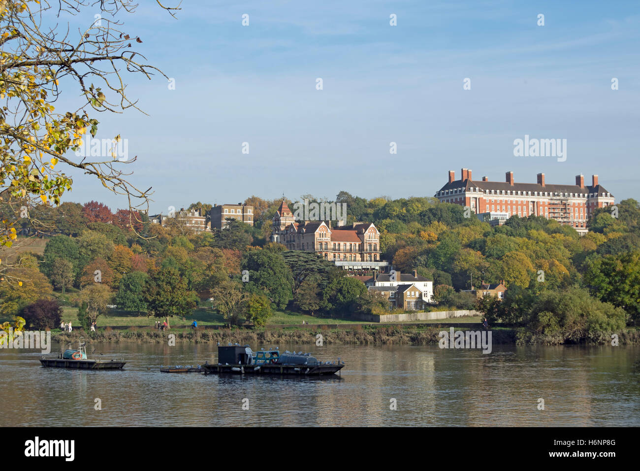 view across the river thames from twickenham to petersham meadows ...