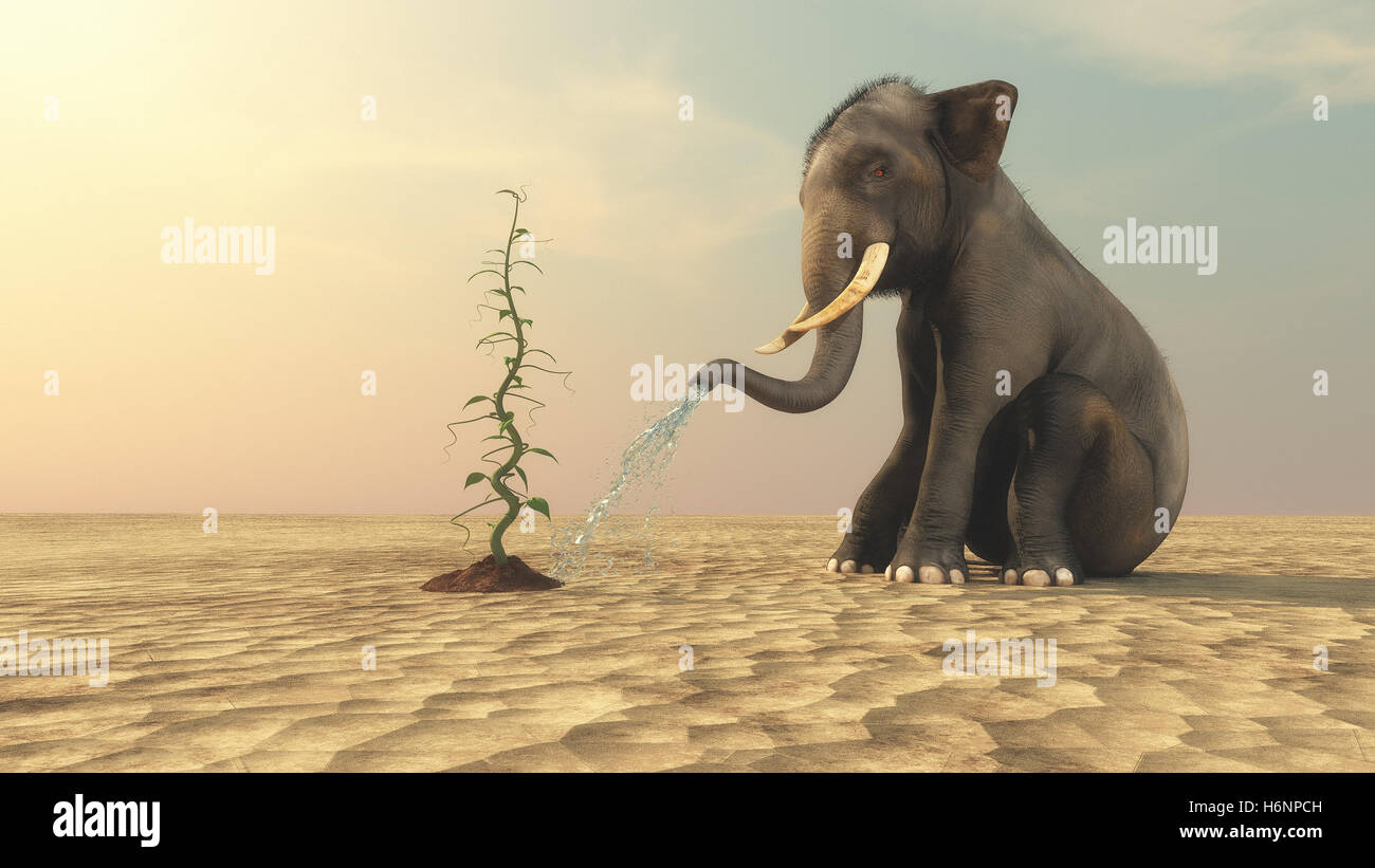 Jack and the beanstalk story hi-res stock photography and images - Alamy