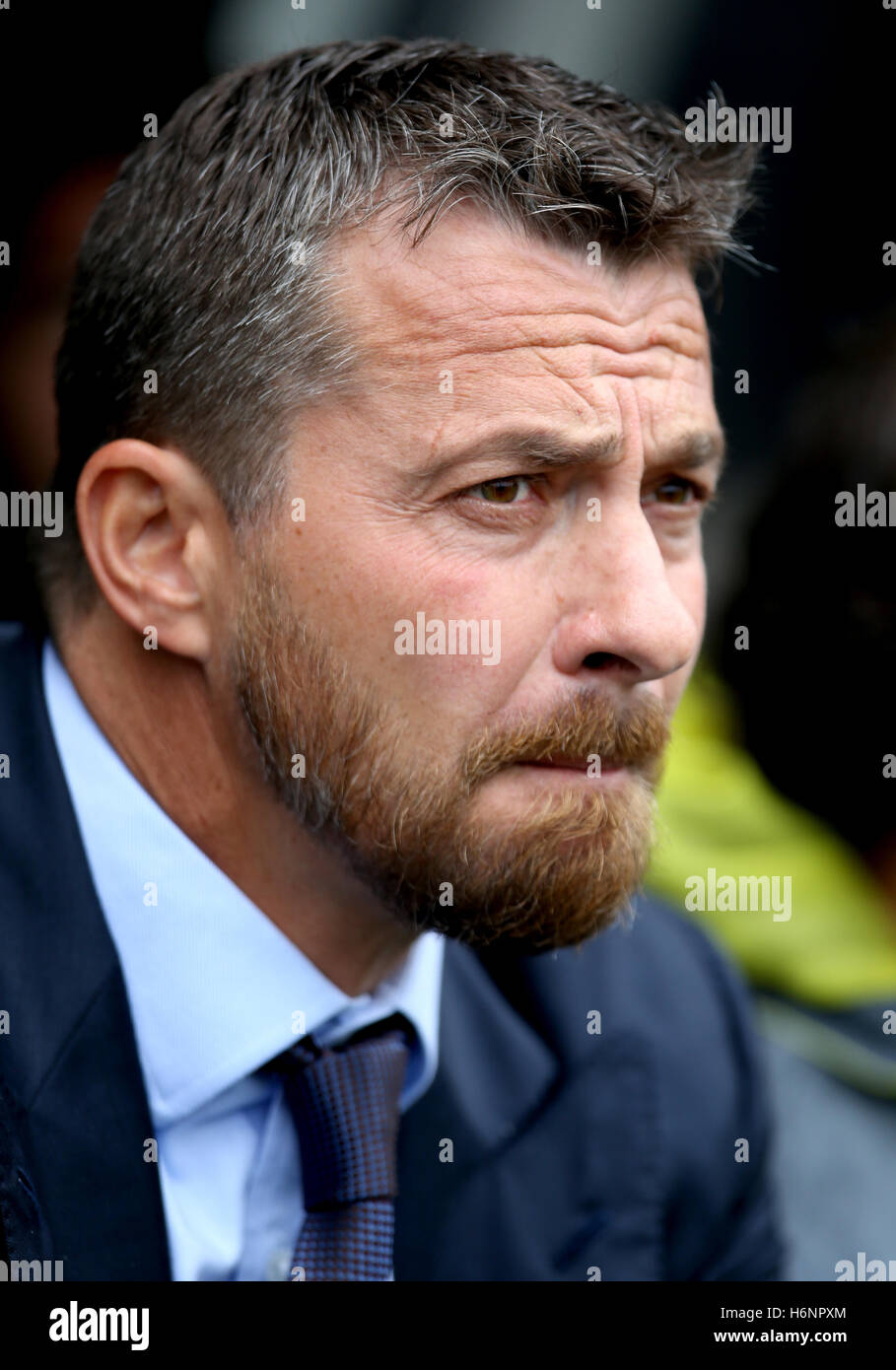 Fulham manager Slavisa Jokanovic Stock Photo - Alamy