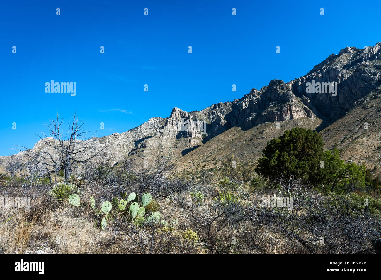 massive limestone formation of El Capitan in Guadalupe Mountains ...