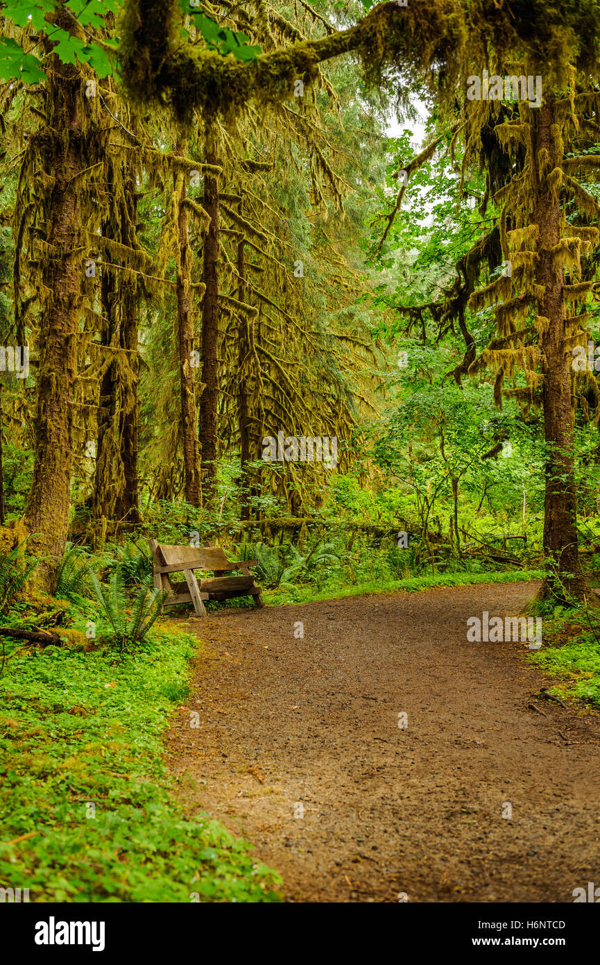 Bench hiking trail hi-res stock photography and images - Alamy