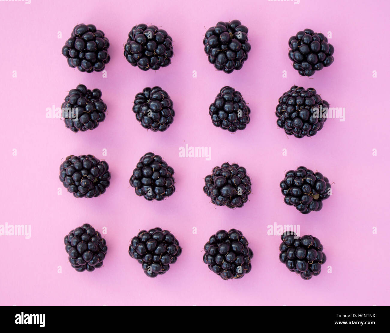 Cluster Group of Blackberries Stock Photo - Alamy