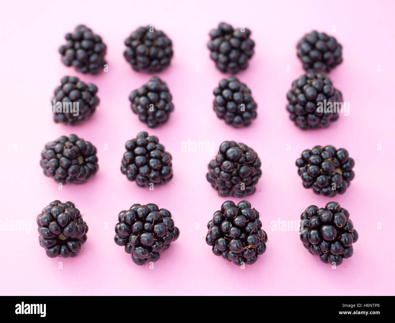 Cluster Group of Blackberries Stock Photo - Alamy