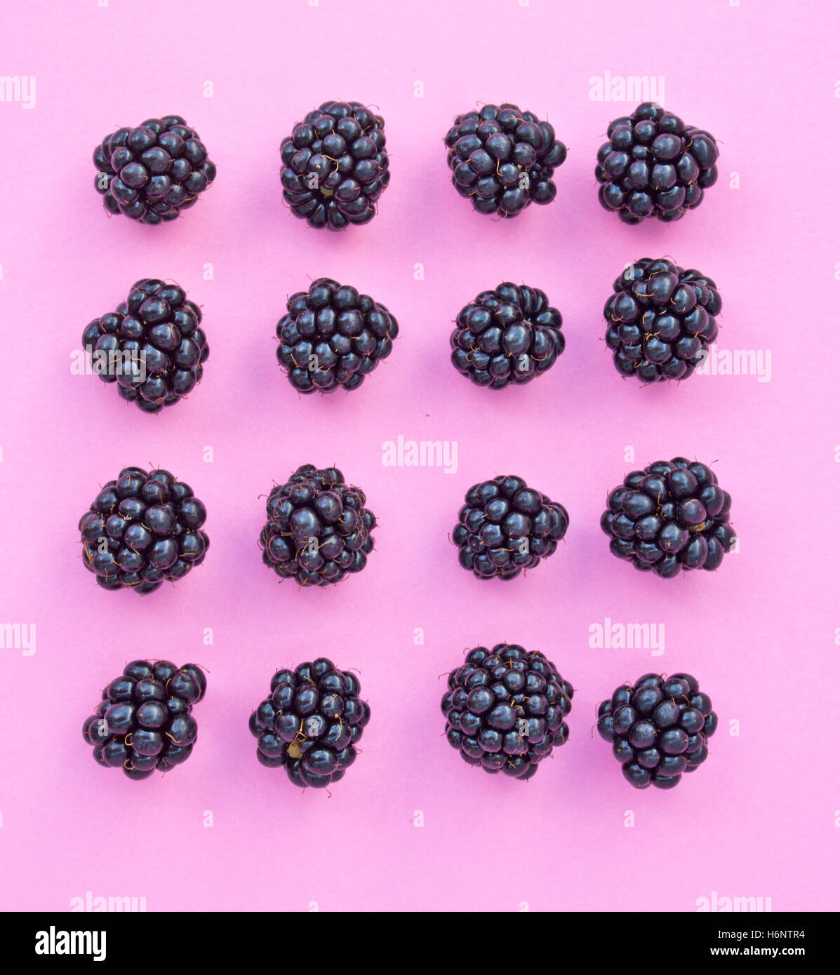Cluster Group of Blackberries Stock Photo - Alamy