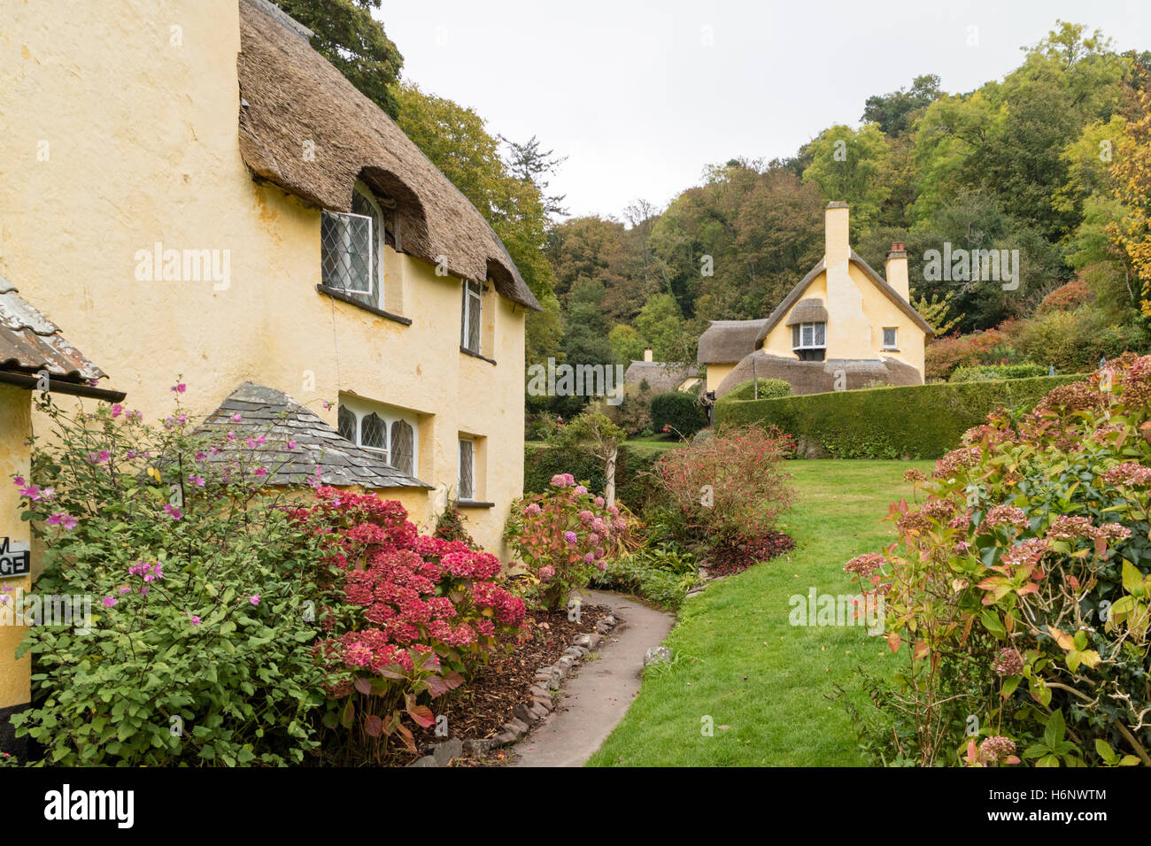 Selworthy's thatched cottages, Exmoor National Park, Somerset, England ...