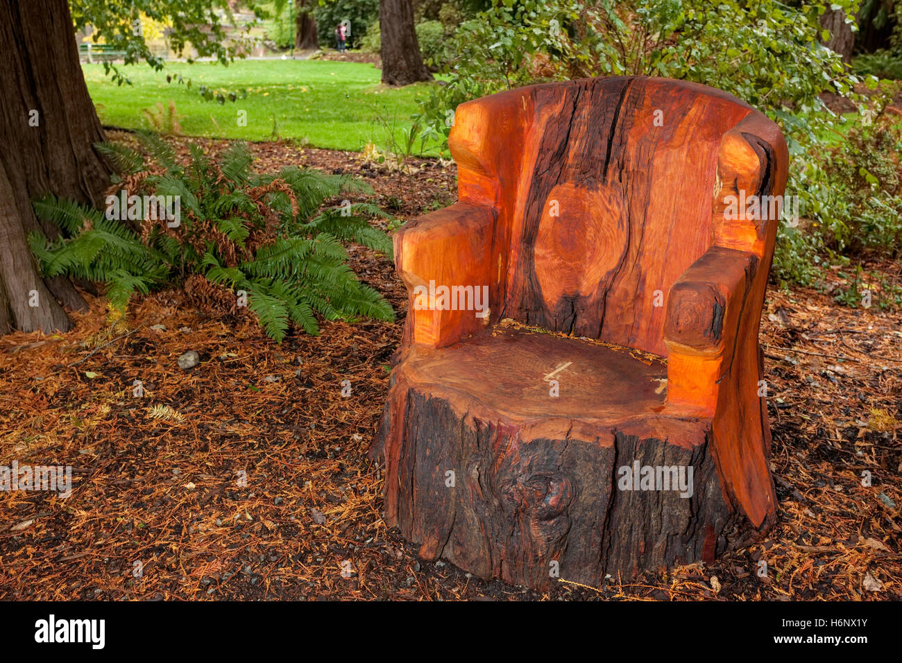 Wooden bench carved from Western Red Cedar tree in Beacon Hill Park ...