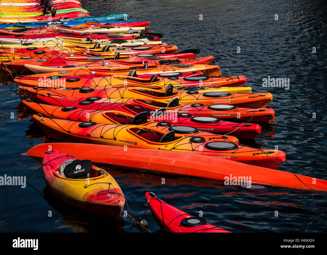 Kayaks In Colourful Colours High Resolution Stock Photography and ...