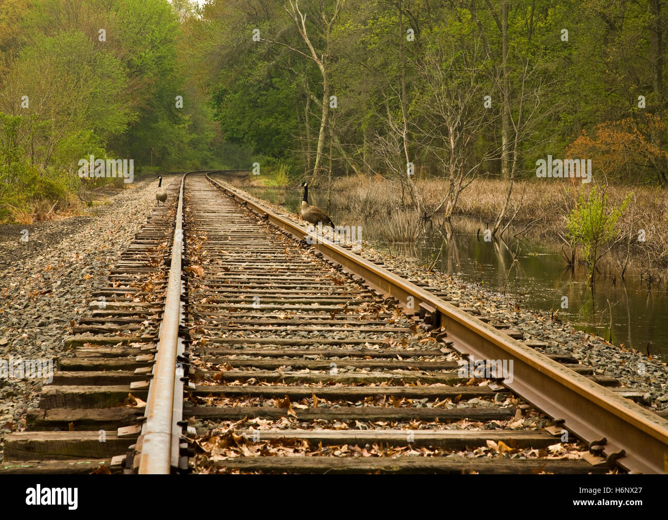 Rural railroad tracks hi-res stock photography and images - Alamy
