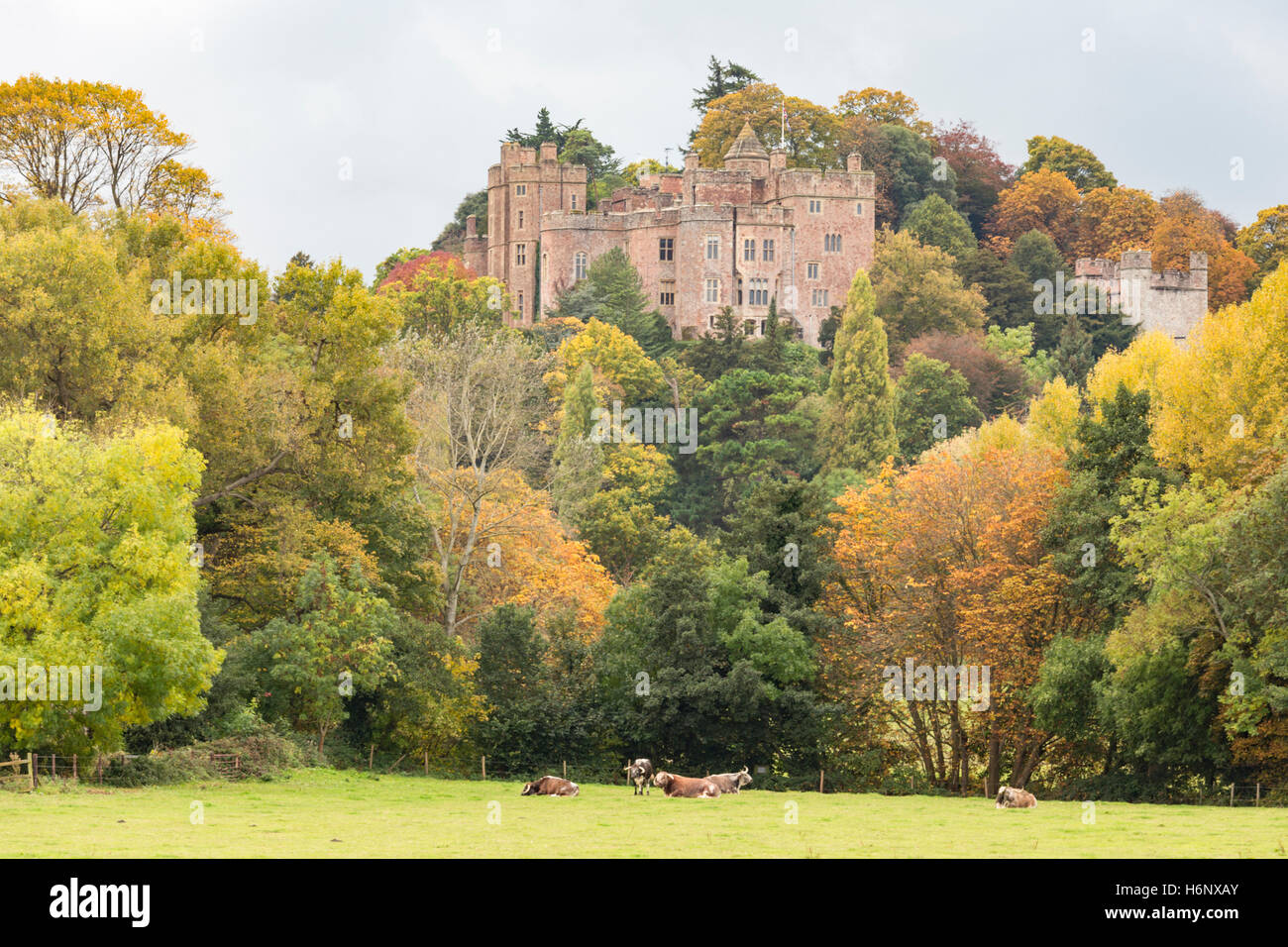 Dunster castle hi-res stock photography and images - Alamy