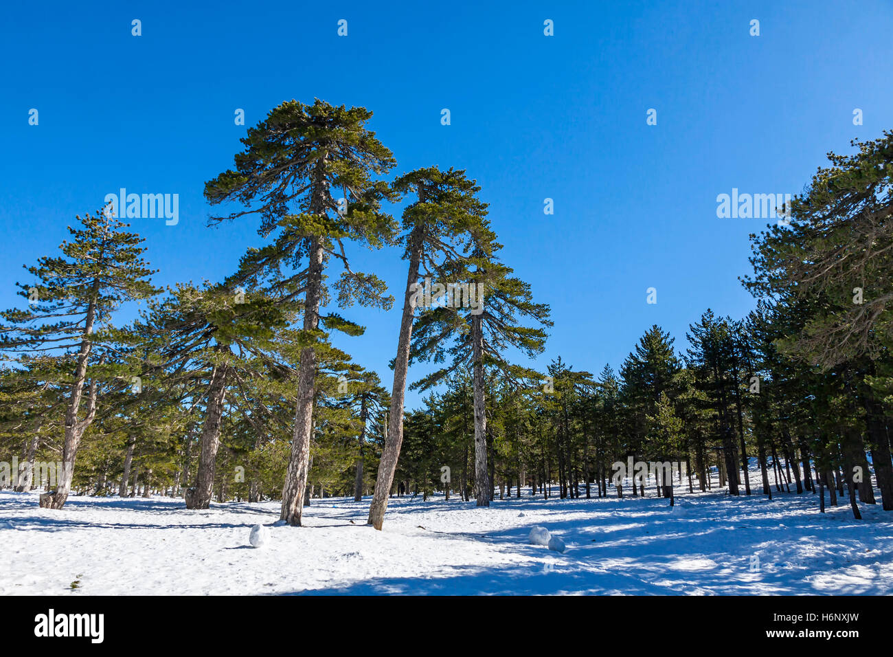 Snow in the troodos mountains hi-res stock photography and images - Alamy
