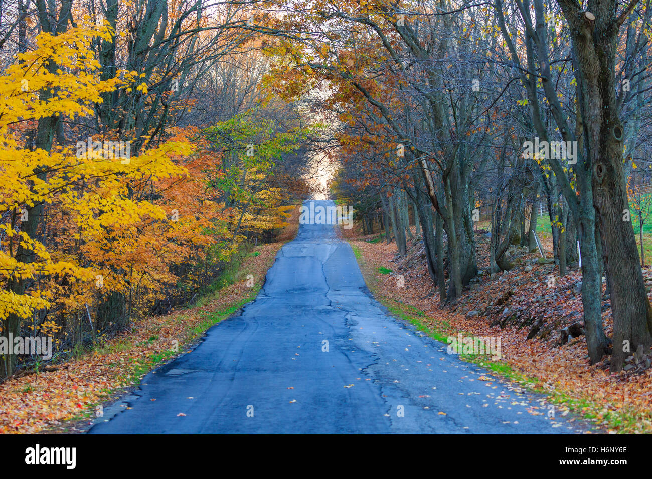 Patched asphalt road hi-res stock photography and images - Alamy