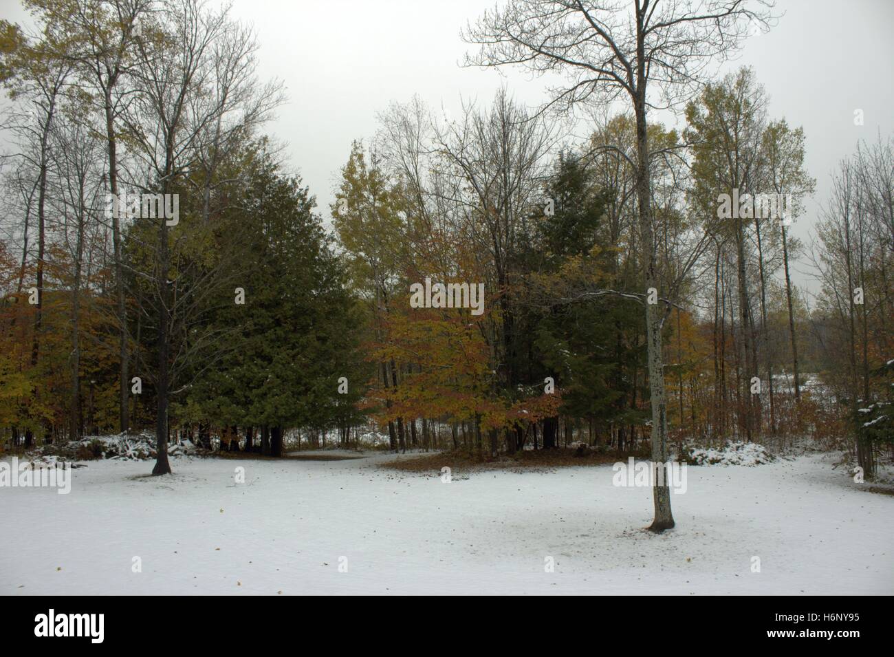 Beautiful first snow in autumn hi-res stock photography and images - Alamy