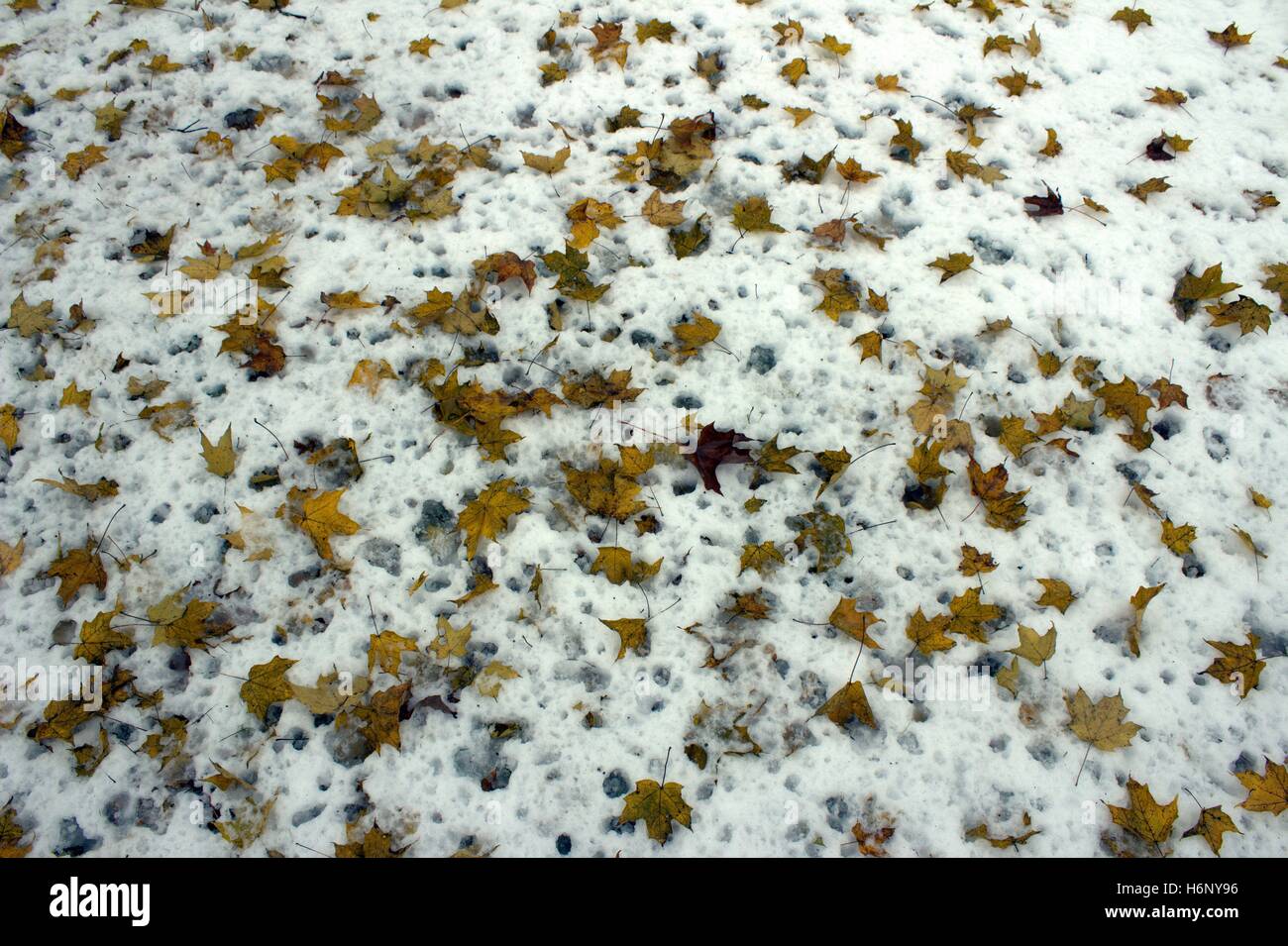 Heavy wet hi-res stock photography and images - Alamy