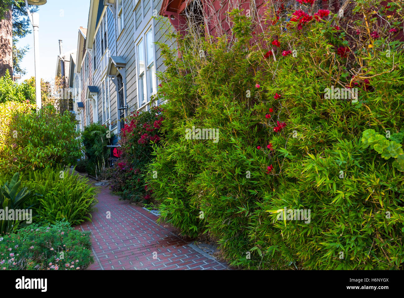 Cottage row san francisco hi-res stock photography and images - Alamy