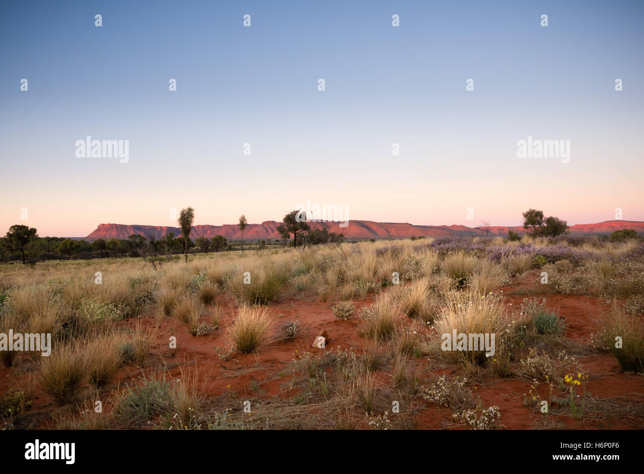 MacDonnell Ranges at sunset Stock Photo - Alamy