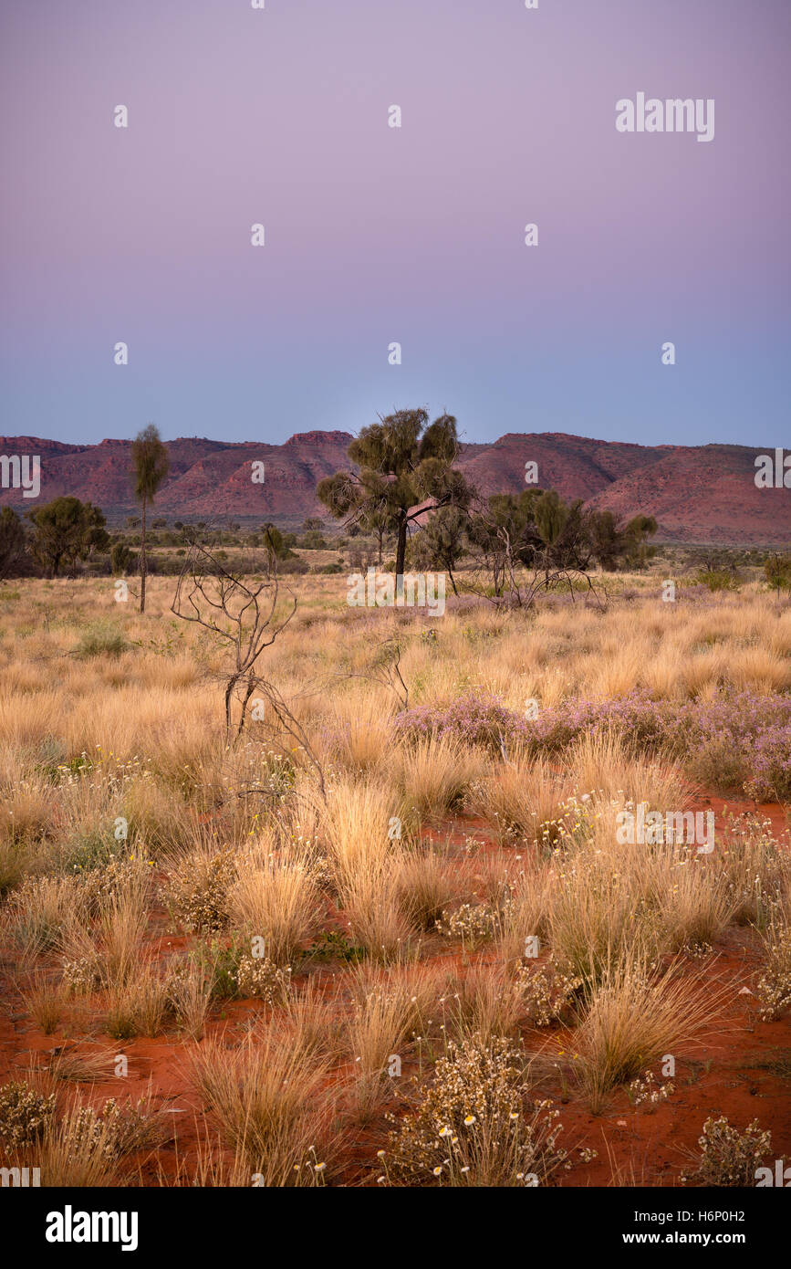Macdonnell ranges hi-res stock photography and images - Alamy