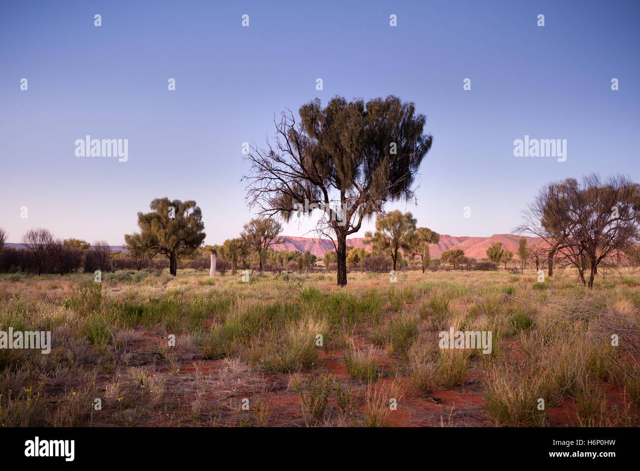MacDonnell Ranges at sunset Stock Photo - Alamy