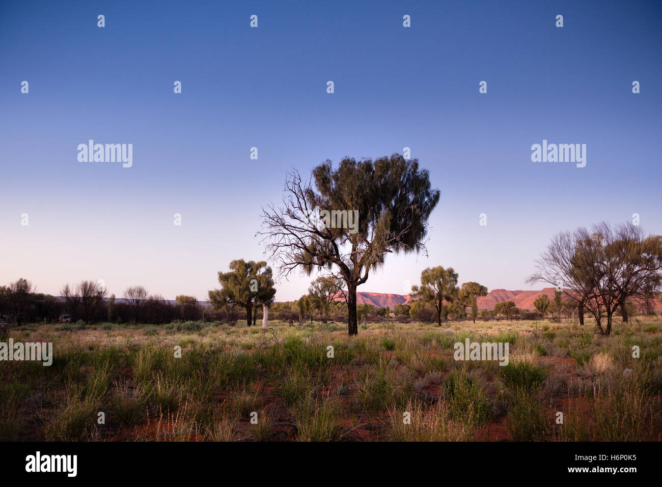 MacDonnell Ranges at sunset Stock Photo - Alamy