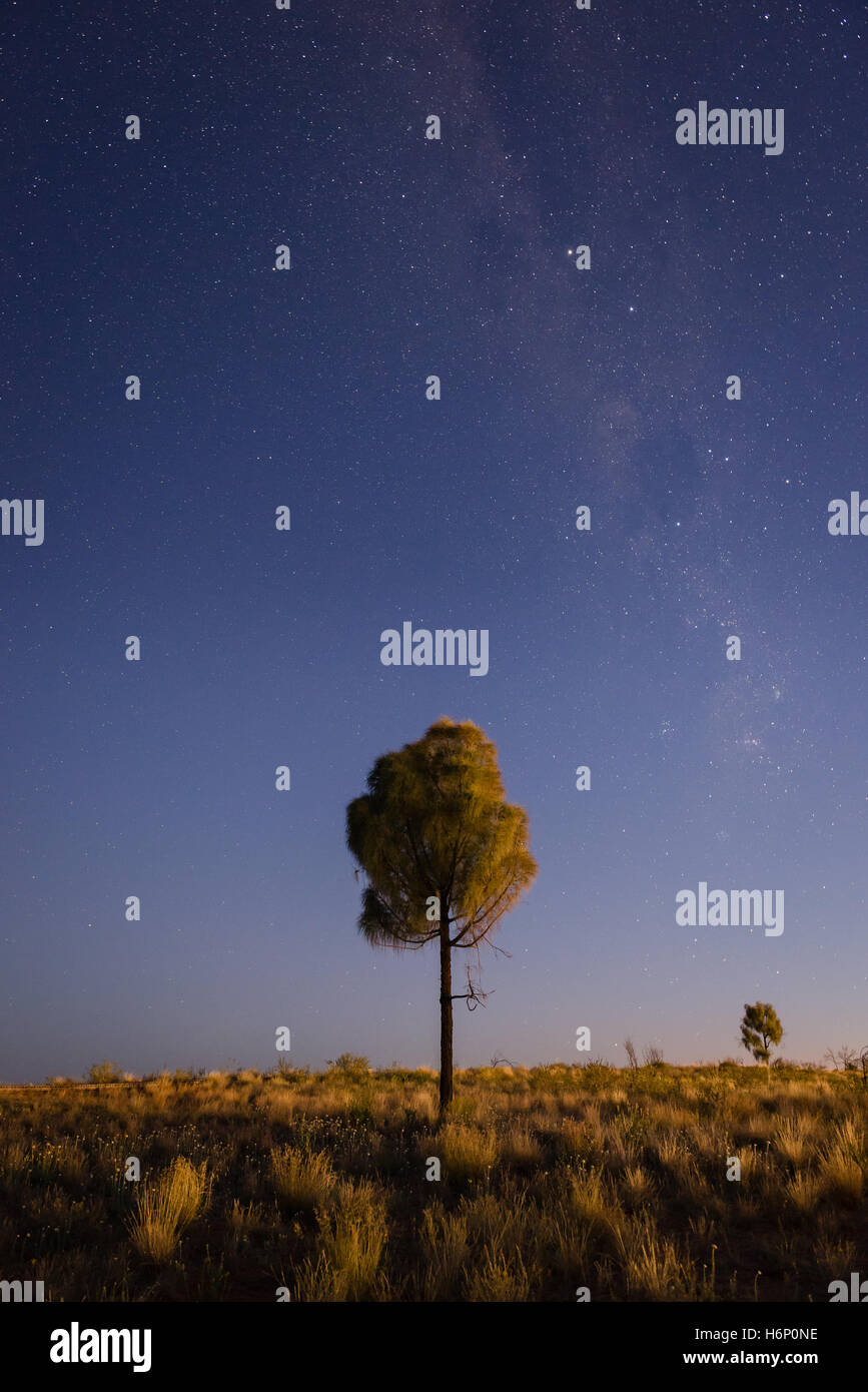 Northern territory australia night sky hi-res stock photography and ...