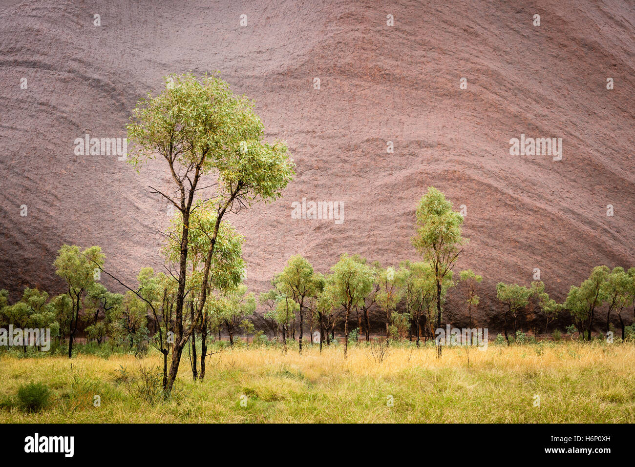 Uluru Rain High Resolution Stock Photography and Images - Alamy