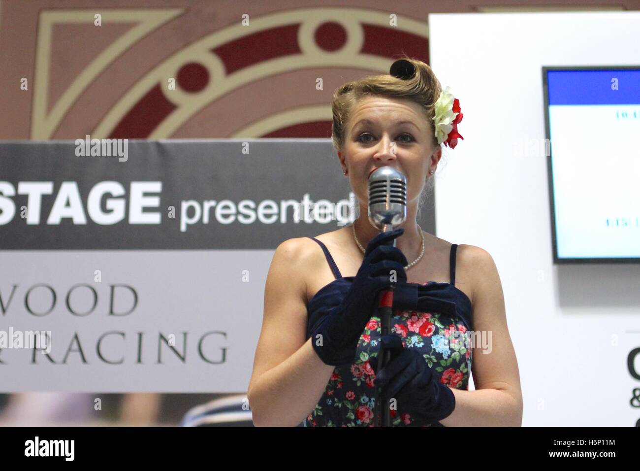 Alexandra Palace Classic Car Show High Resolution Stock Photography and ...