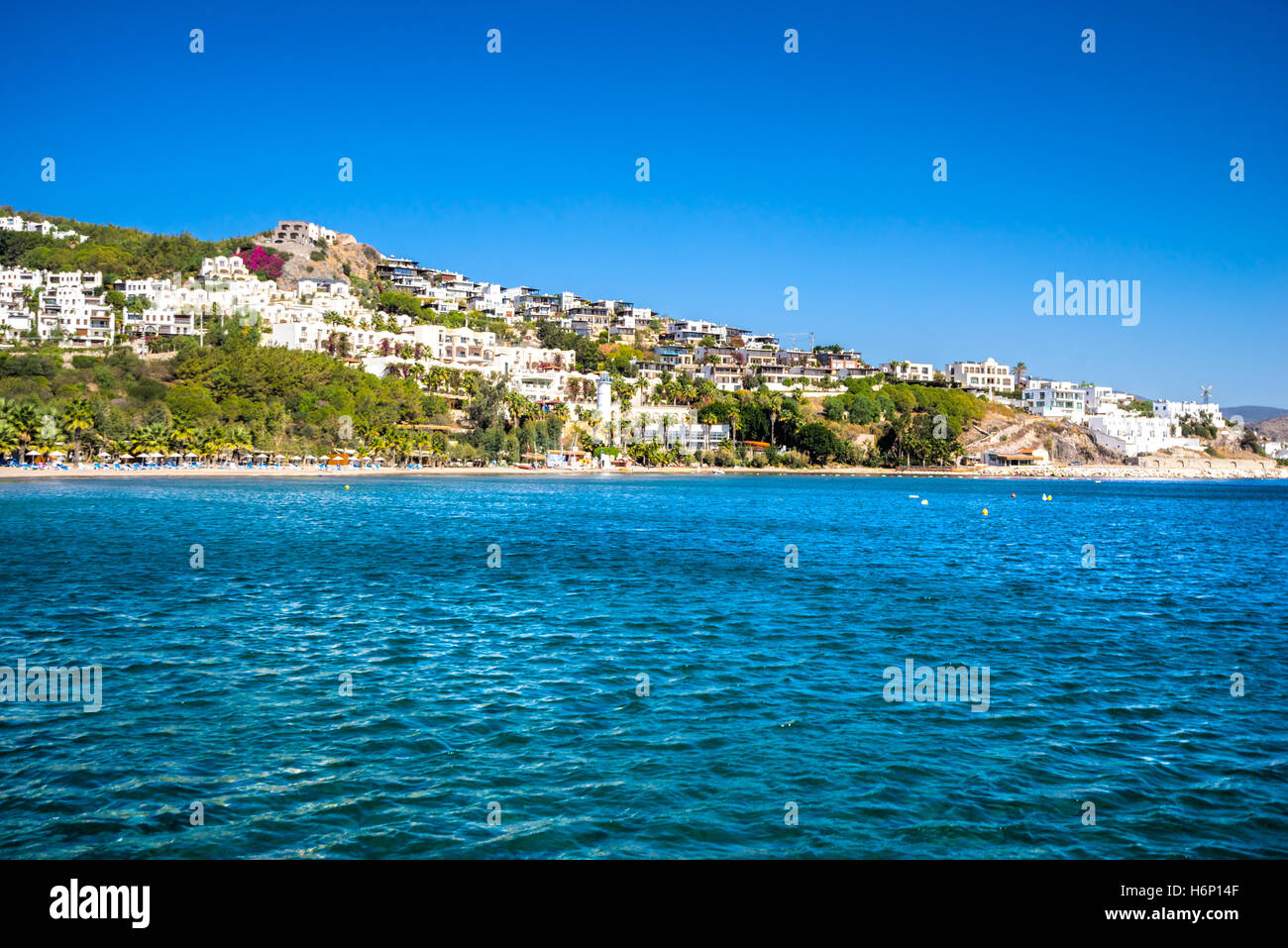 Camel beach hi-res stock photography and images - Alamy
