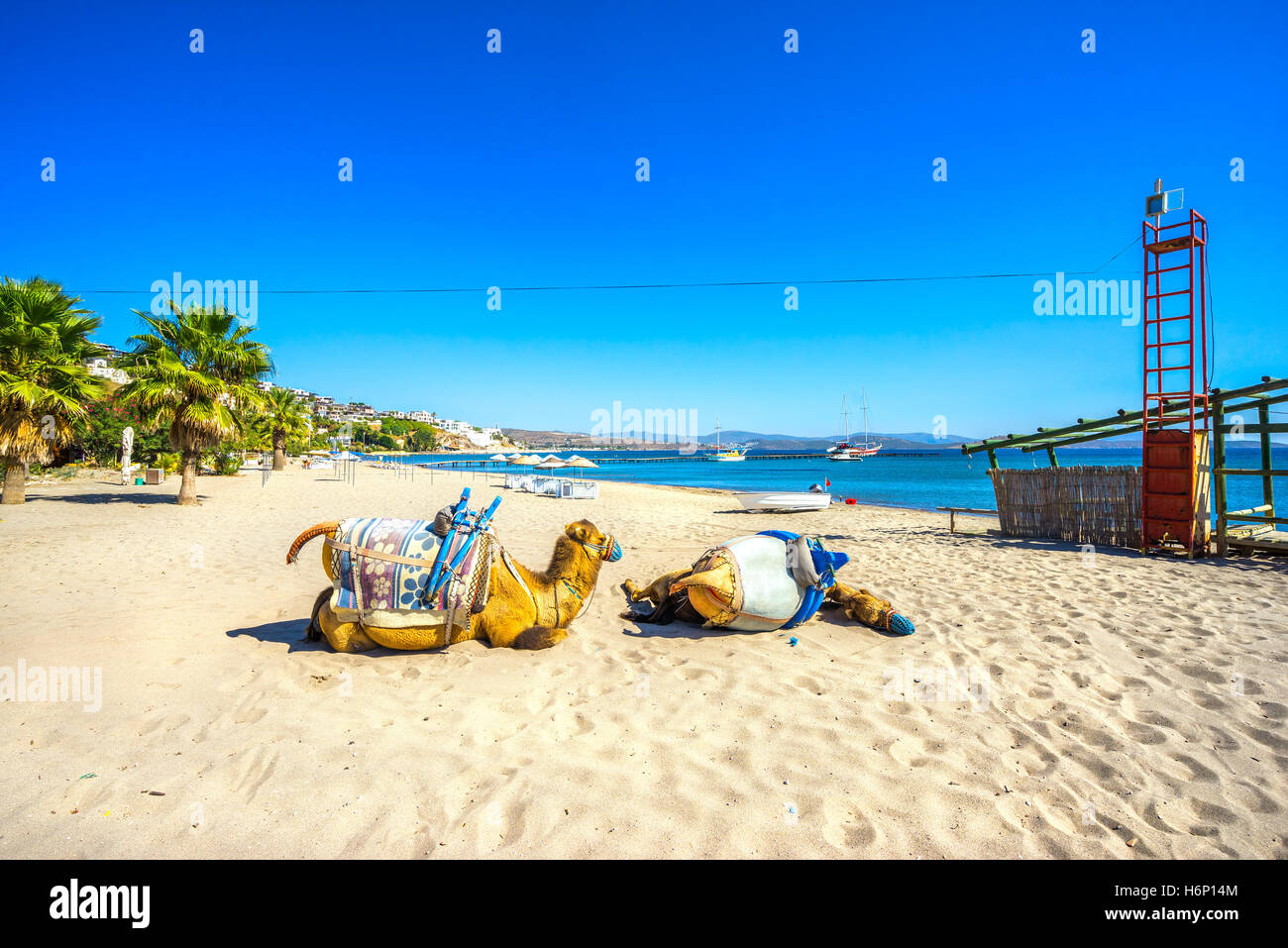 Camel Beach in Bitez, Bodrum, Turkey Stock Photo - Alamy
