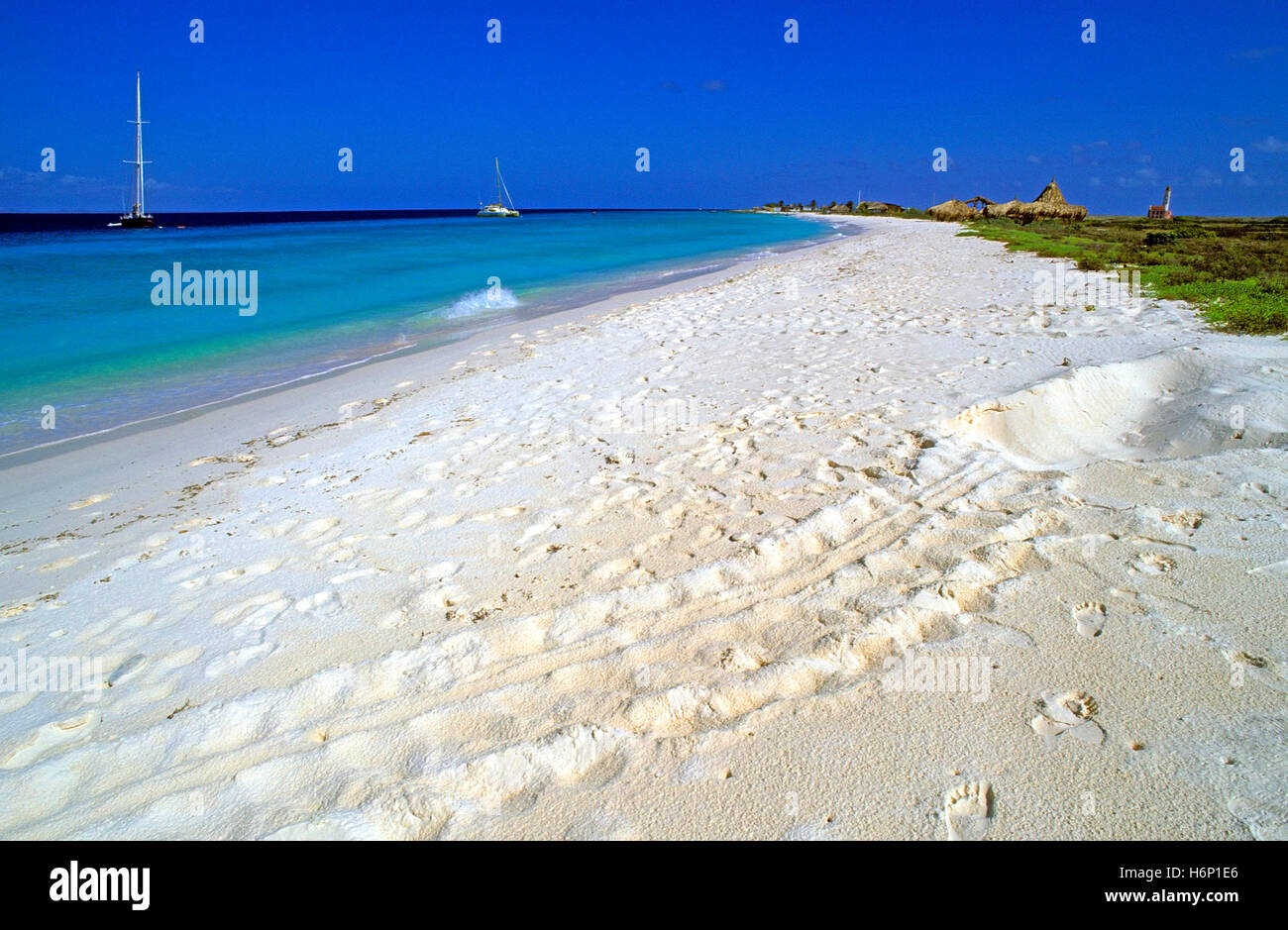 Klein Curacao Island, tracks and nest of sea turtle, Caribbean Sea ...