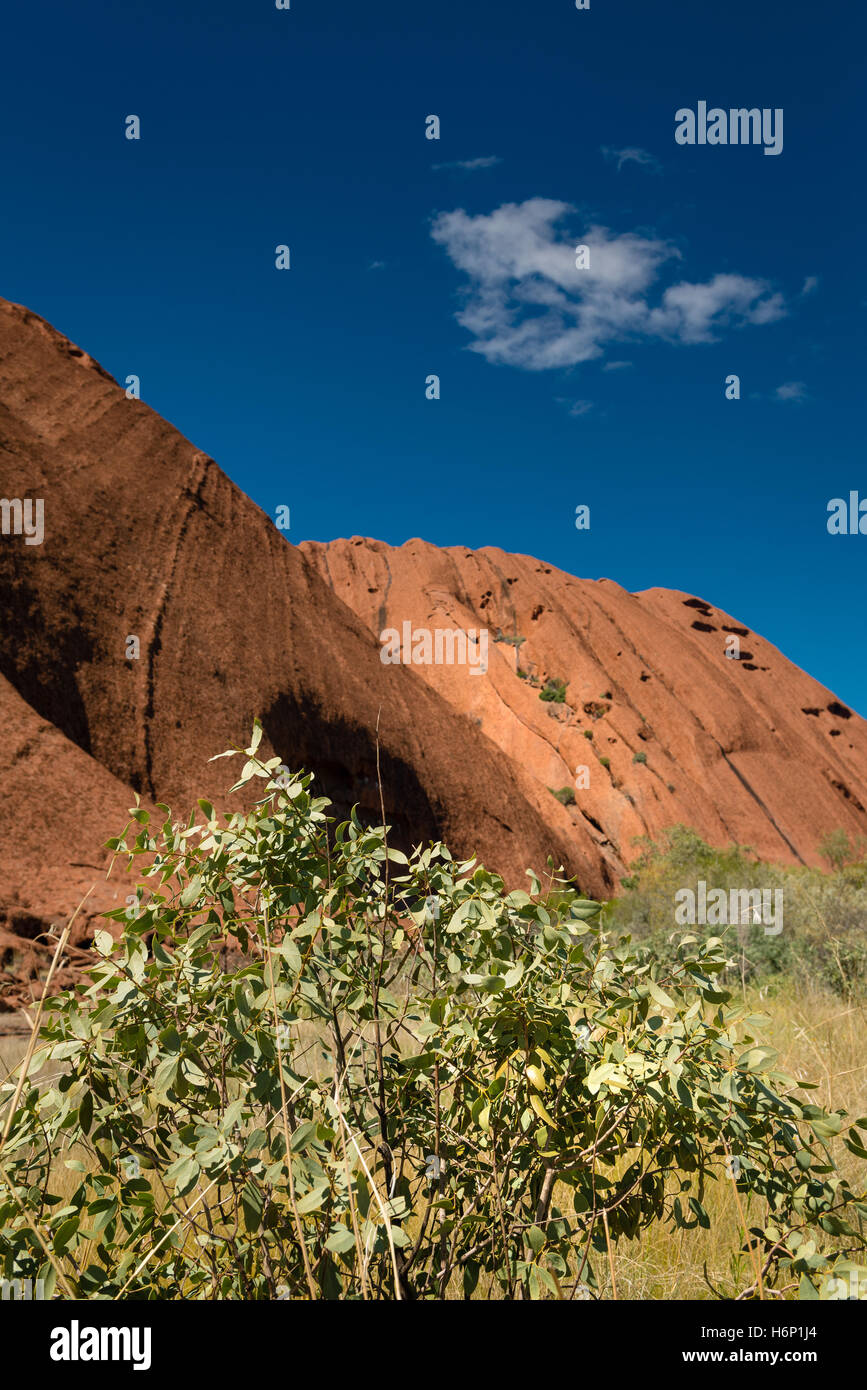 Anangu people hi-res stock photography and images - Alamy