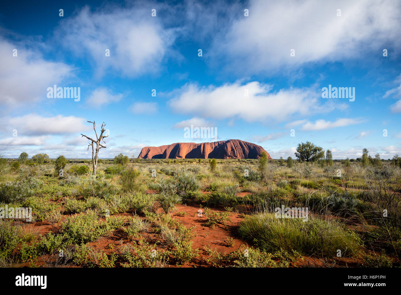Blue sky over uluru hi-res stock photography and images - Alamy