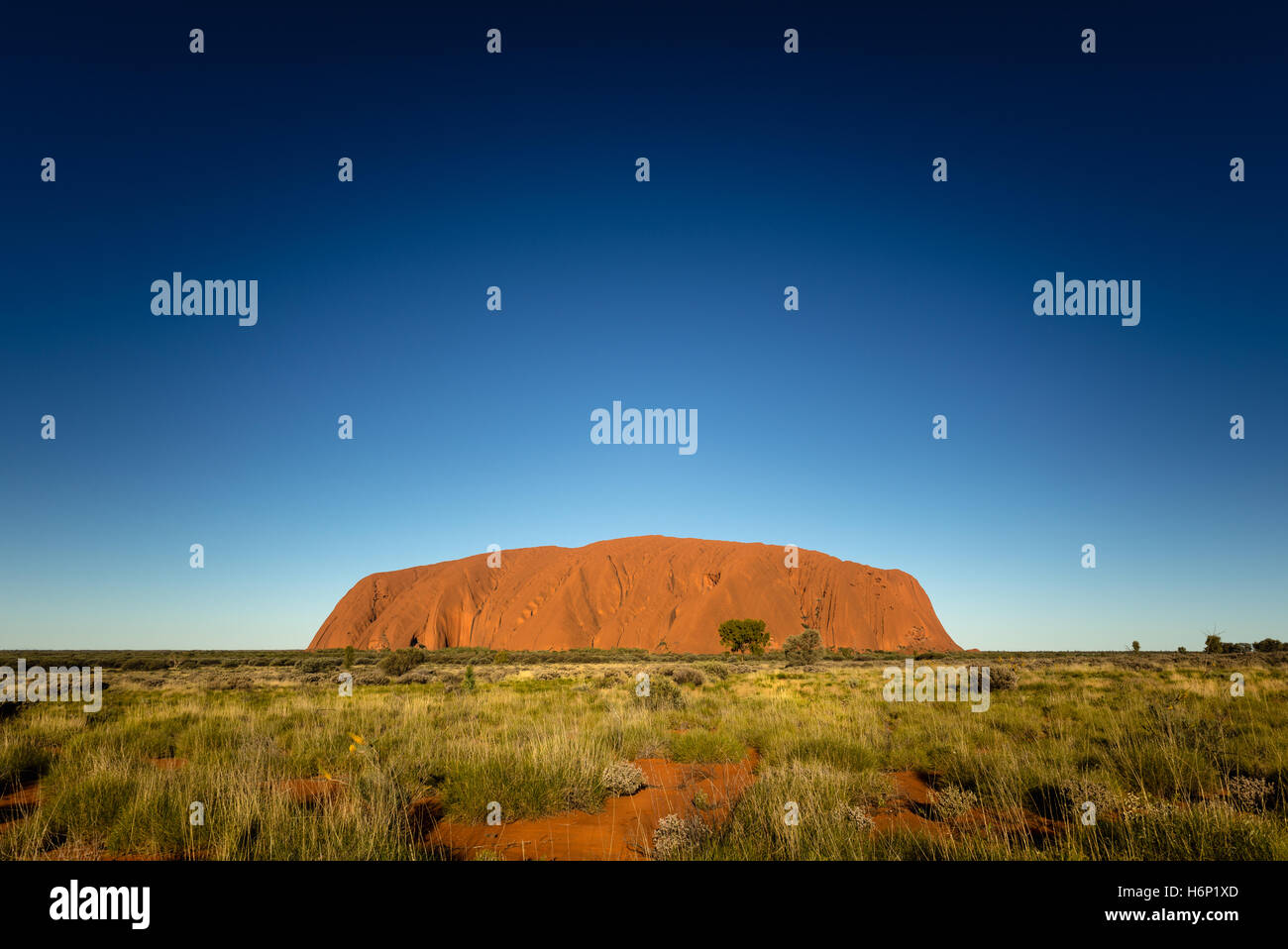 Sunset at Uluru under a clear sky Stock Photo - Alamy