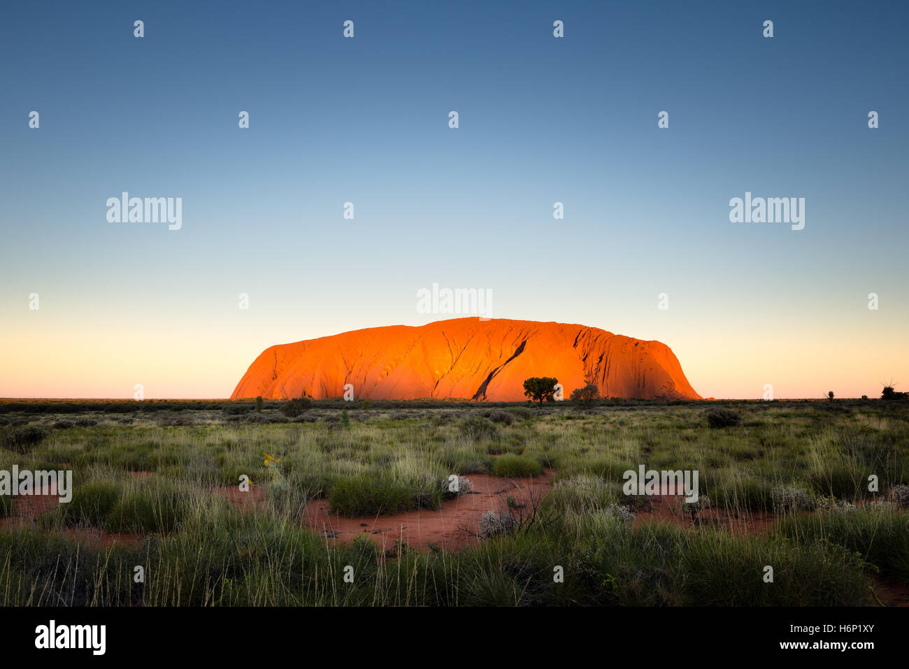Sunset at Uluru under a clear sky Stock Photo - Alamy