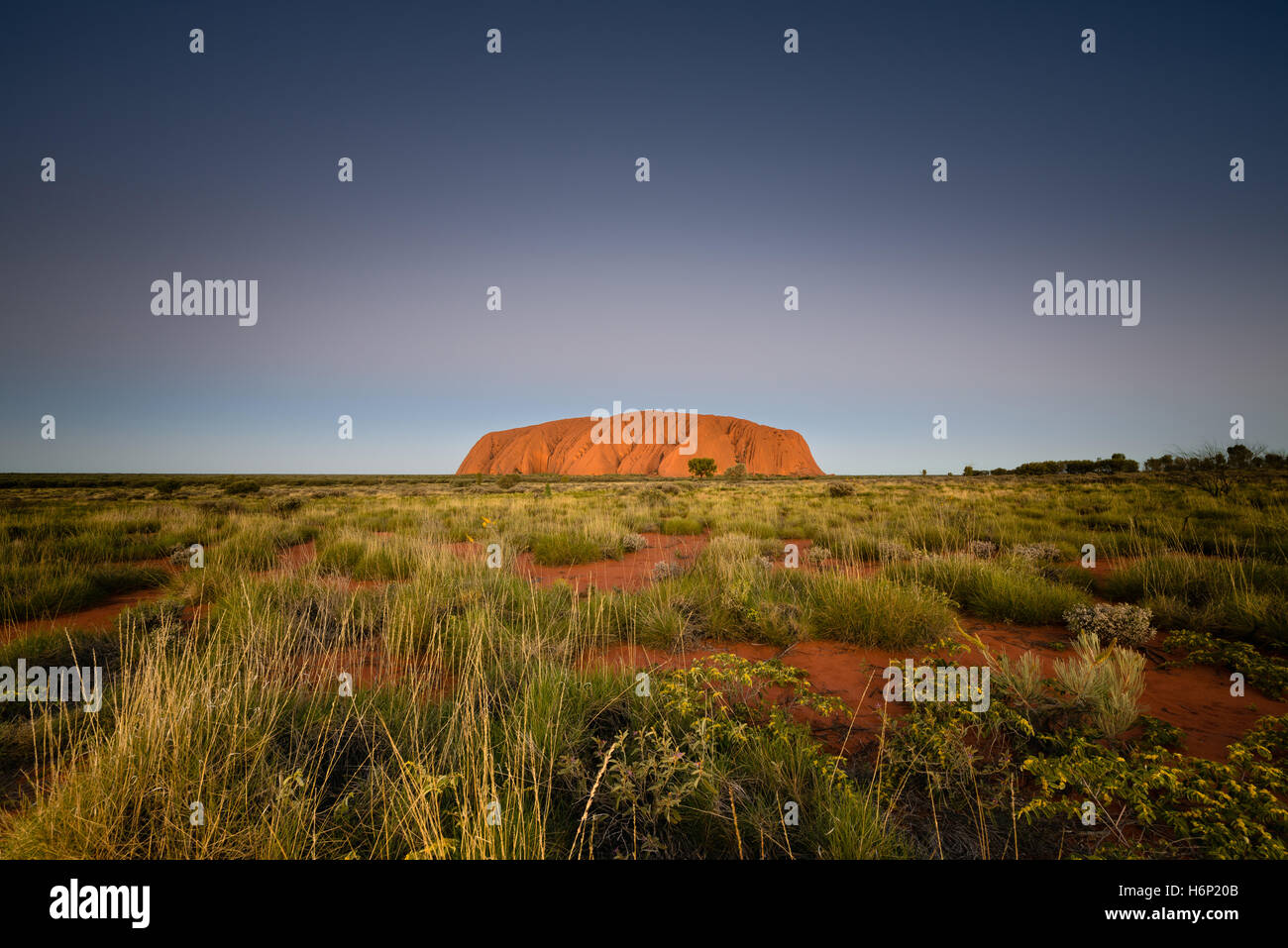 Sunset at Uluru under a clear sky Stock Photo - Alamy