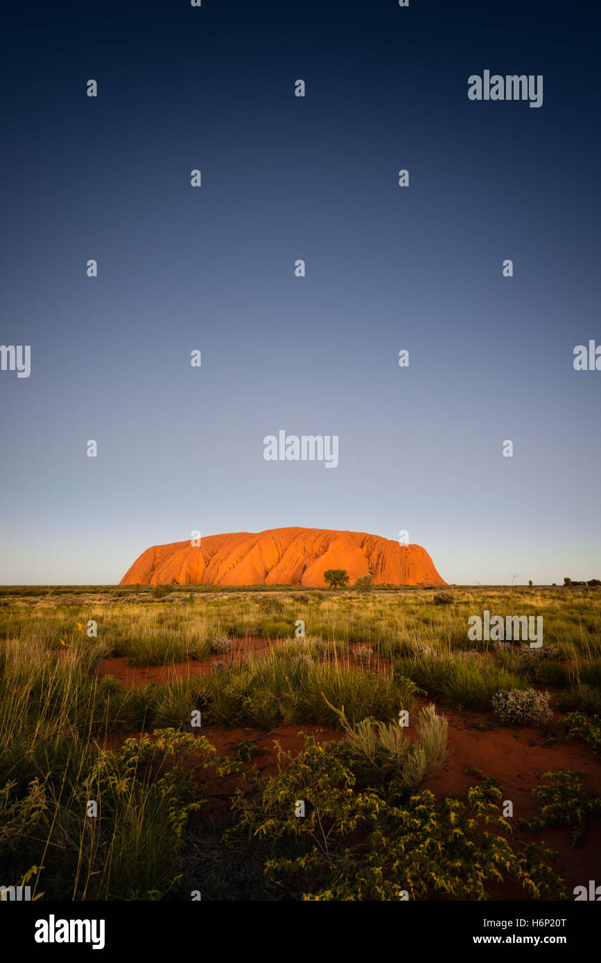 Sunset at Uluru under a clear sky Stock Photo - Alamy